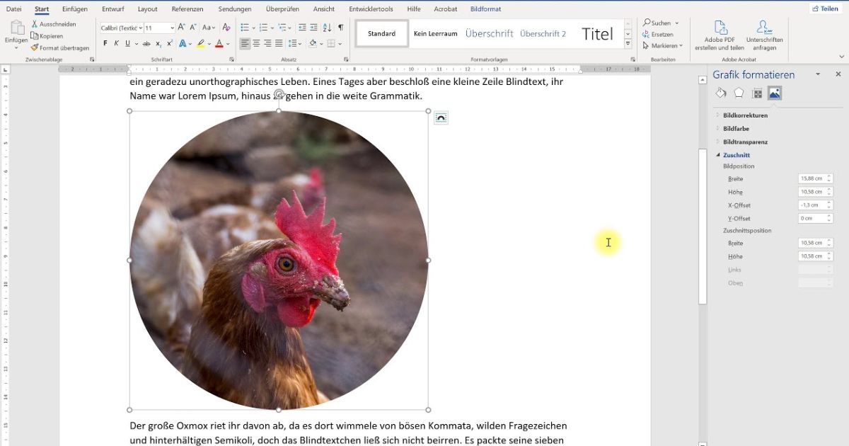 Bild zu Kreis zuschneiden (Rundes Foto) – Word-Tutorial