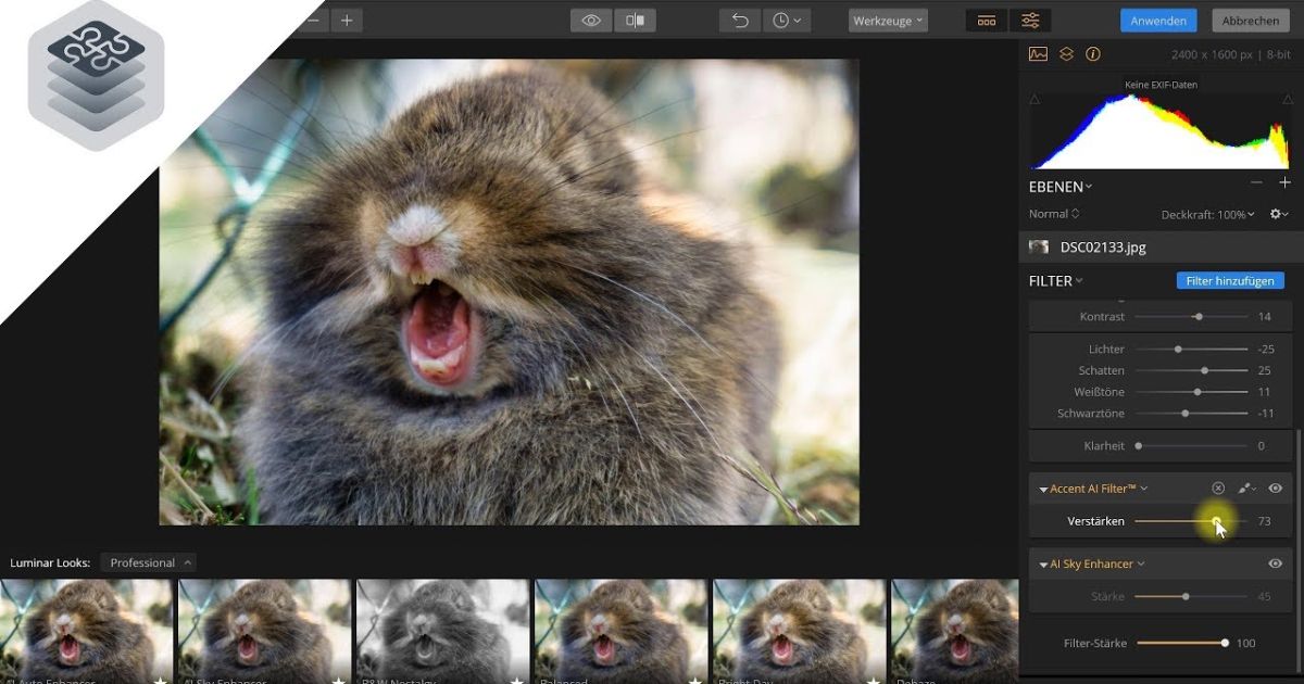 Luminar als Plug-in für Photoshop und Lightroom – Luminar Flex Vorstellung
