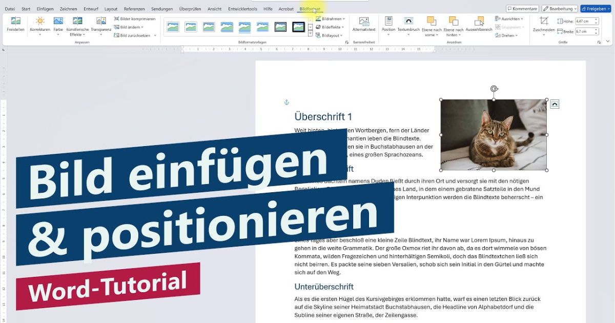 Bild einfügen und Textumbruch mit Objektanker einstellen – Word-Tutorial