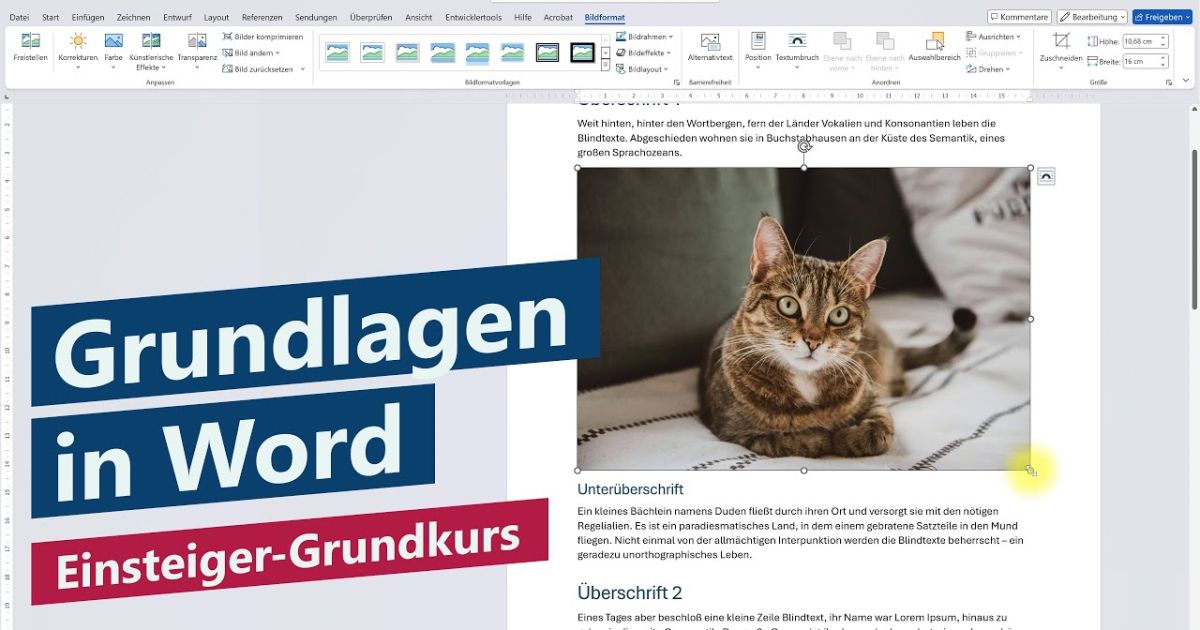 Word Grundkurs – Grundlagen für Anfänger in 23 Kapiteln – Microsoft 365 ... Word Grundkurs – Grundlagen für Anfänger in 23 Kapiteln – Microsoft 365 ...